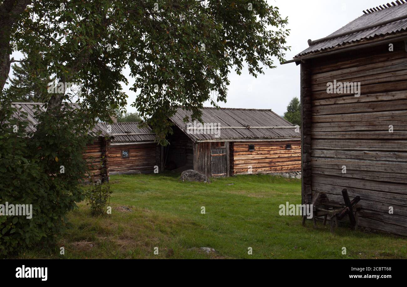 Wooden warehouse, storehouse, farmhouse far out in rural country. Trees ...