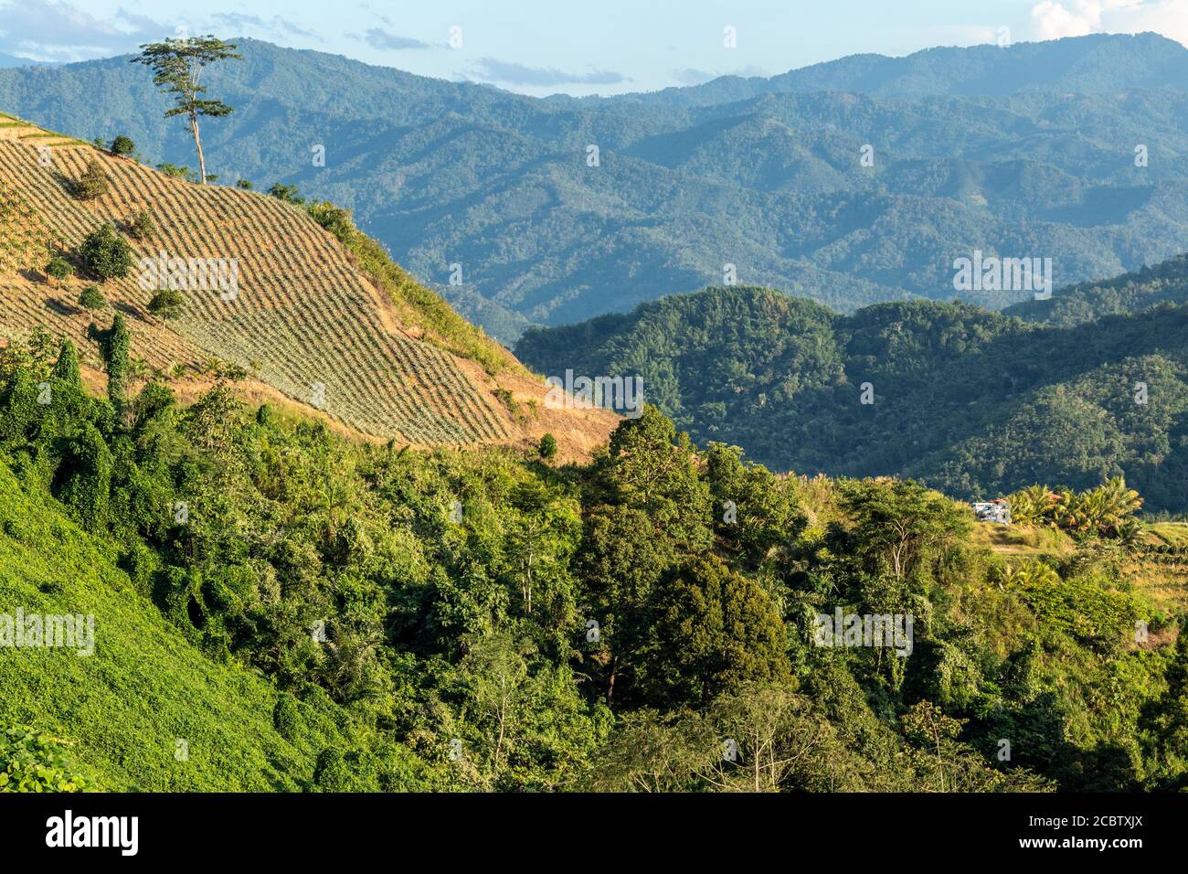 Landscapes around Telipok Sabah Borneo Malaysia Stock Photo - Alamy