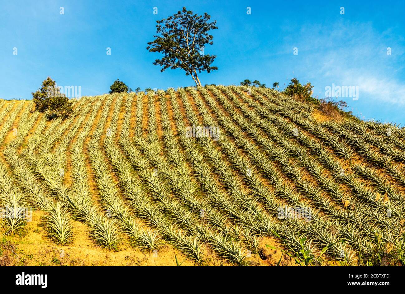 Landscapes around Telipok Sabah Borneo Malaysia Stock Photo - Alamy