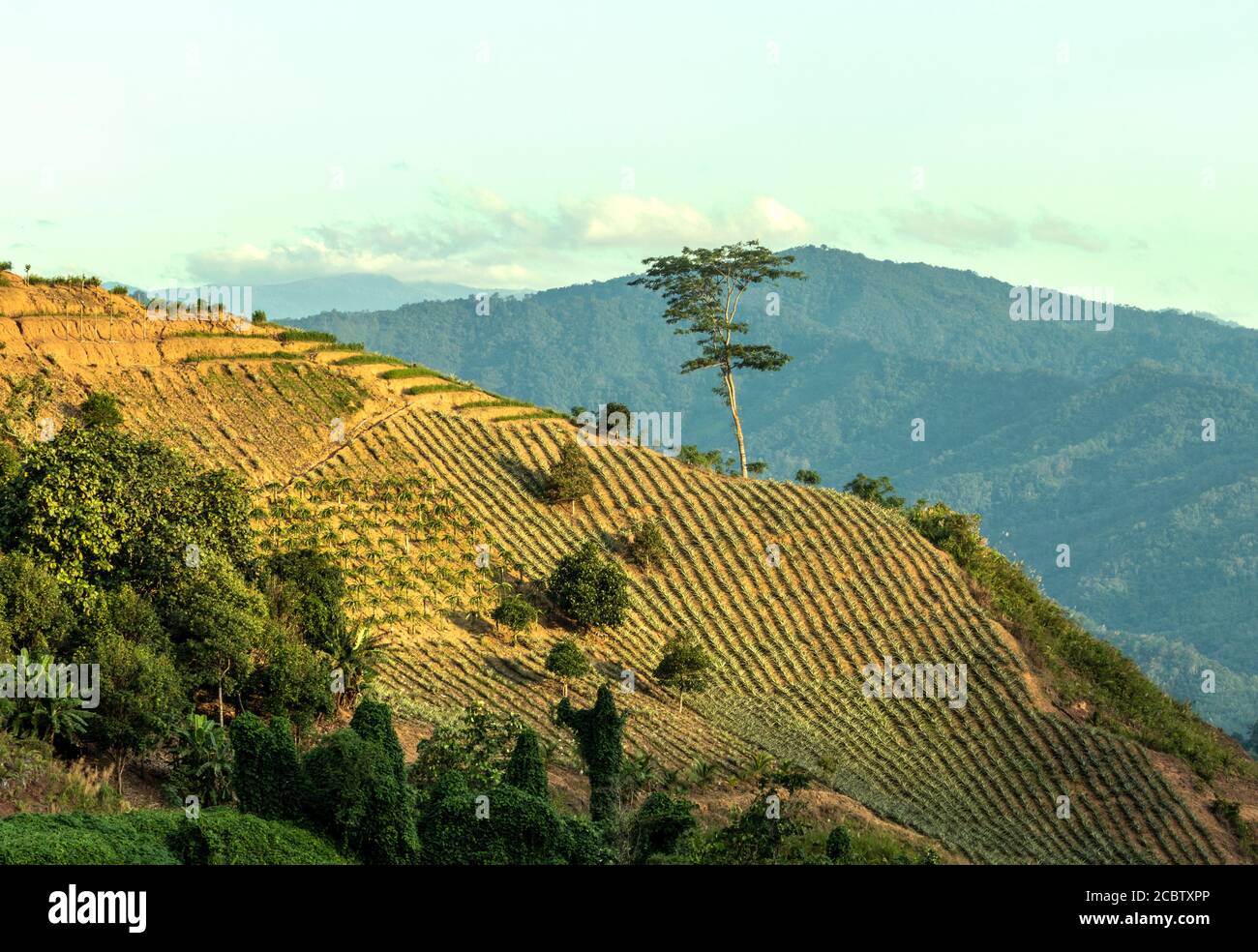 Landscapes around Telipok Sabah Borneo Malaysia Stock Photo - Alamy