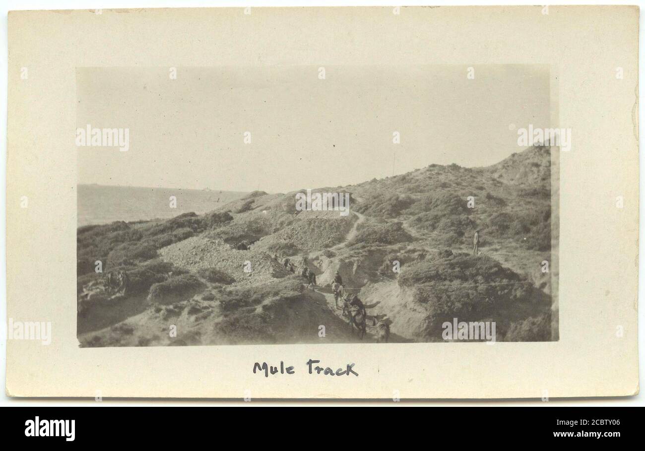 Ancient Mule Track High Resolution Stock Photography and Images - Alamy