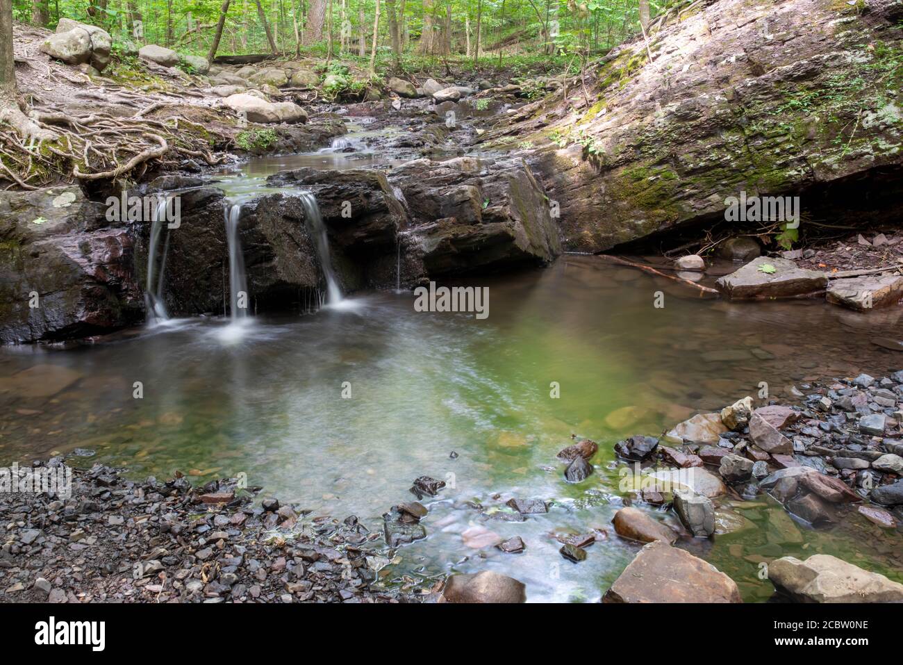 Full frame image of forest waterfall cascading over an ancient rock ...