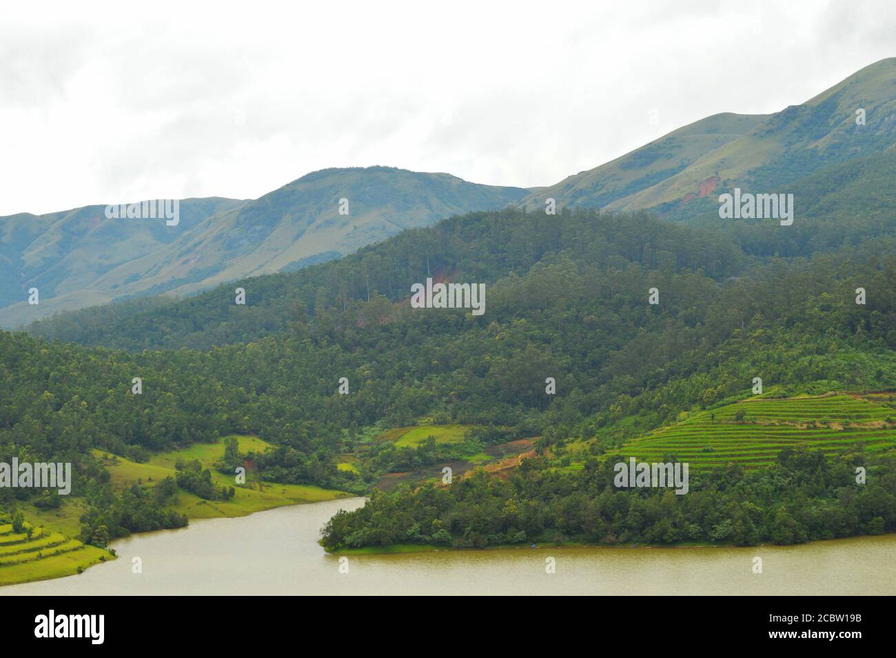 Nilgiris landscapes hi-res stock photography and images - Alamy