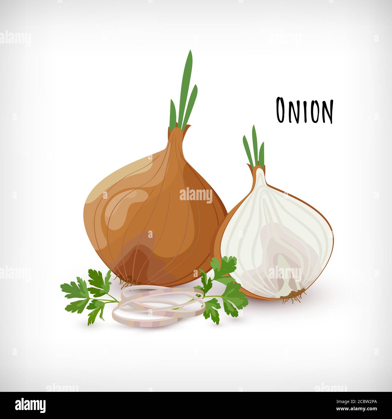 Onion whole, half, onion rings, green leaves, roots, parsley in flat ...