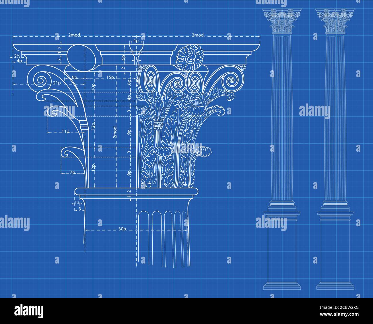 detail of corinthian column with measures on technical background Stock ...