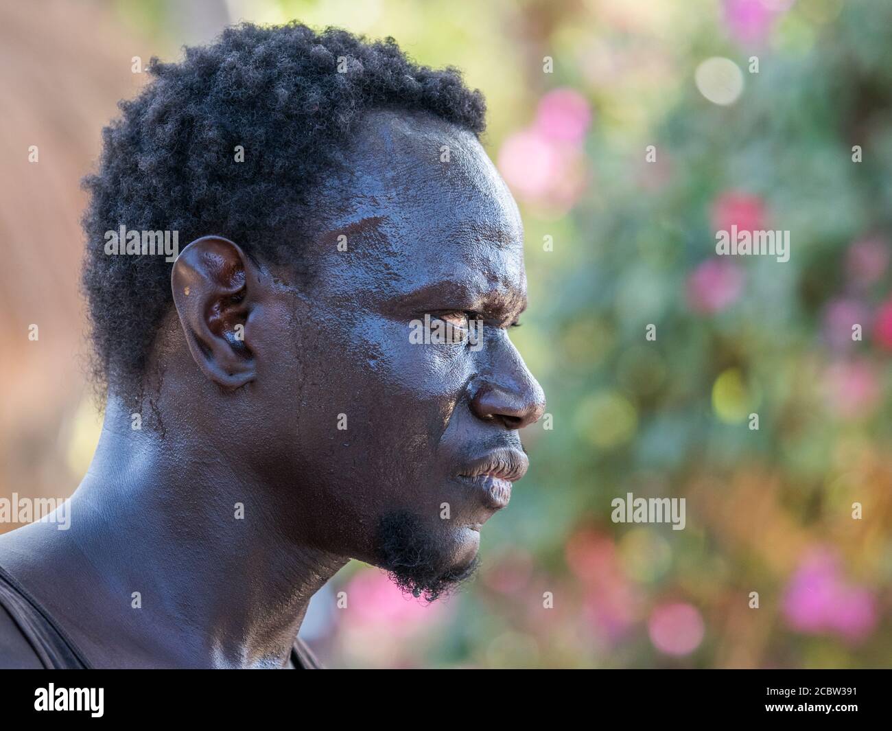 African senegalese hi-res stock photography and images - Alamy