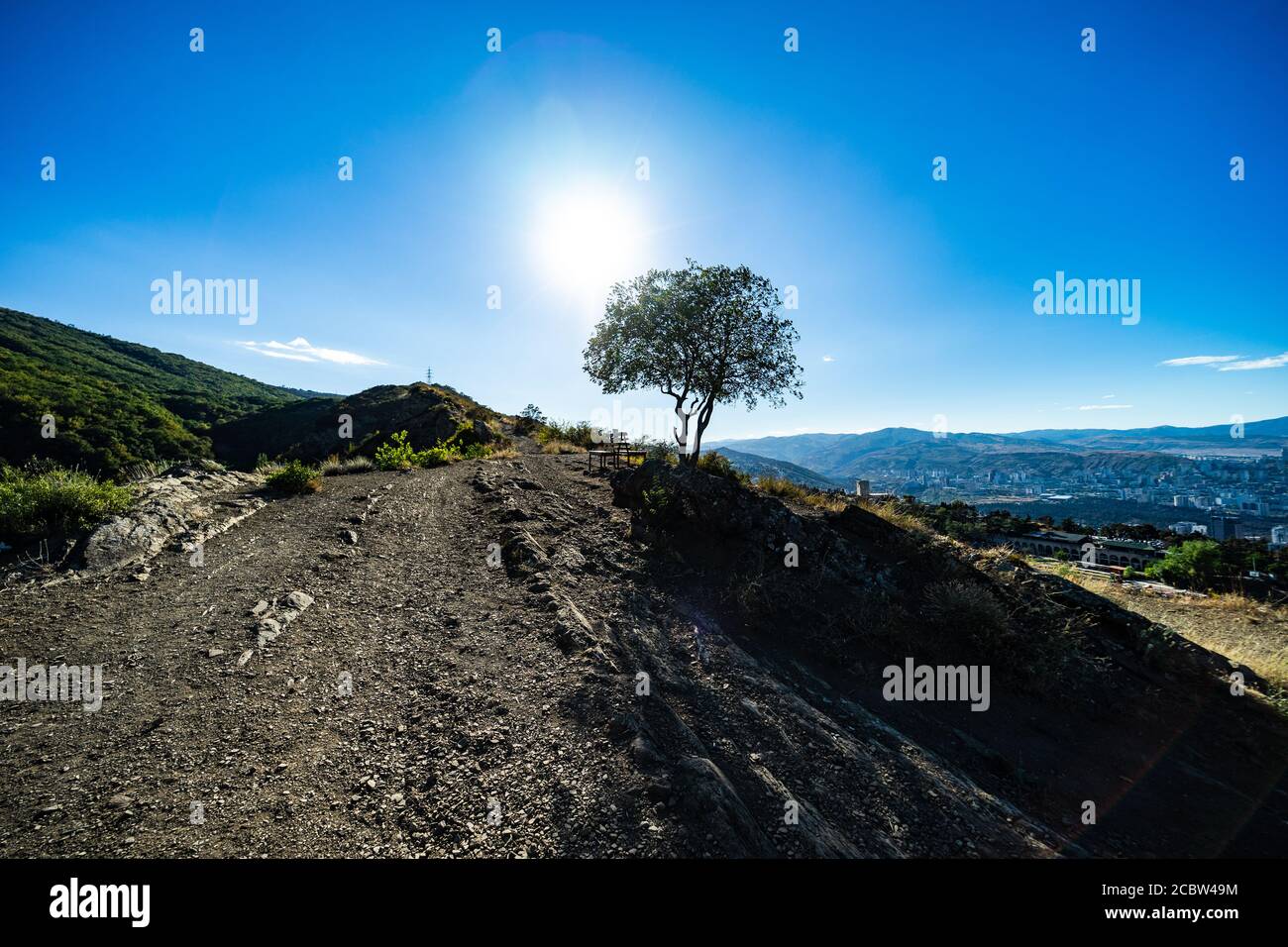 Turtle hiking the trails hi-res stock photography and images - Alamy