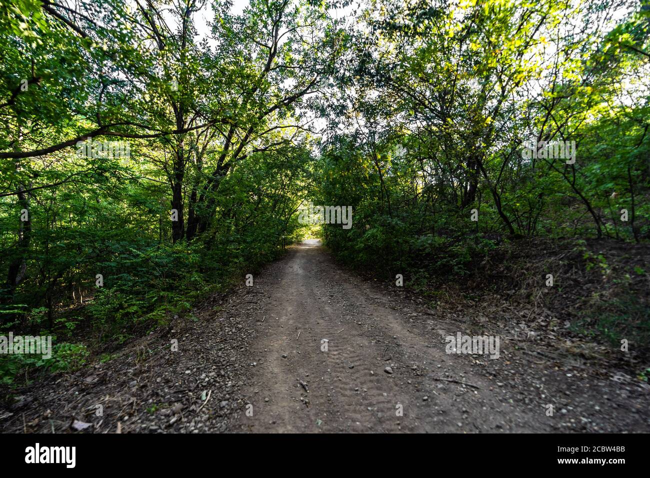 Hiking trail on route from Turtle lake to Mtatsminda is one of the most ...