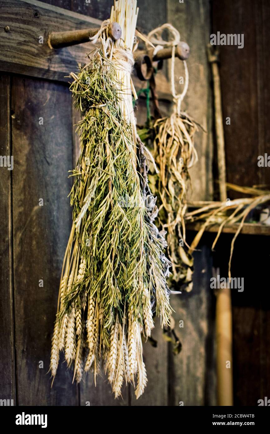 Tied wheat sheaf hi-res stock photography and images - Alamy