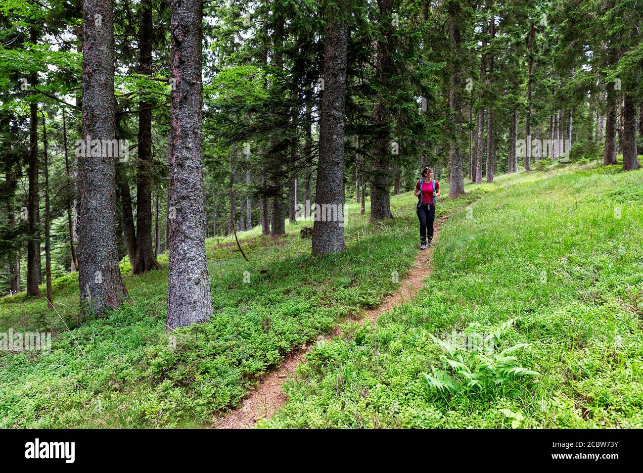 Hike away women walking forest hi-res stock photography and images - Alamy