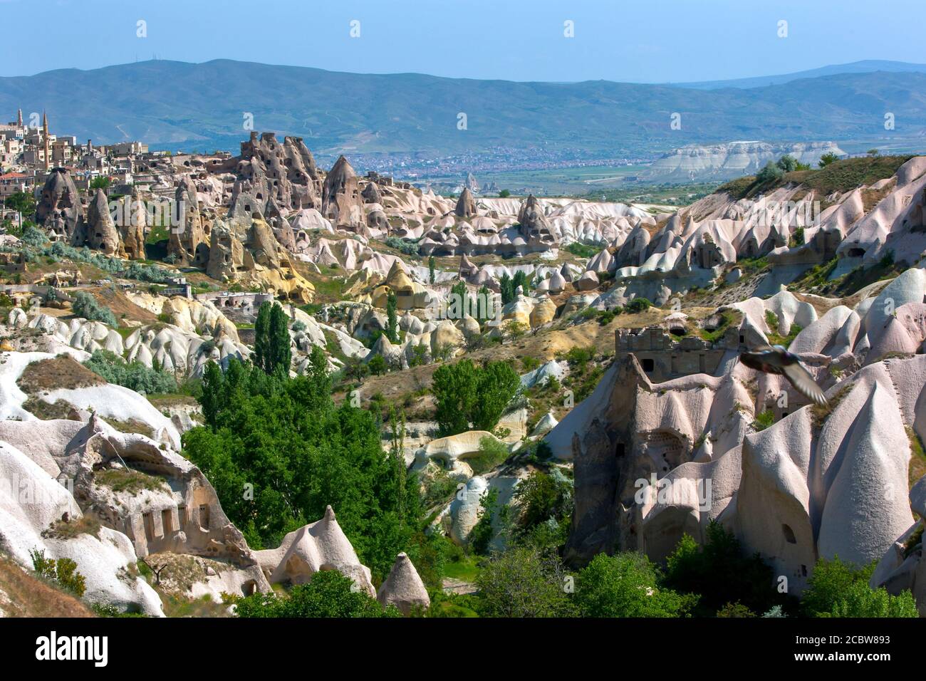 A view of Pigeon Valley showing fairy chimneys and coloured rock ...