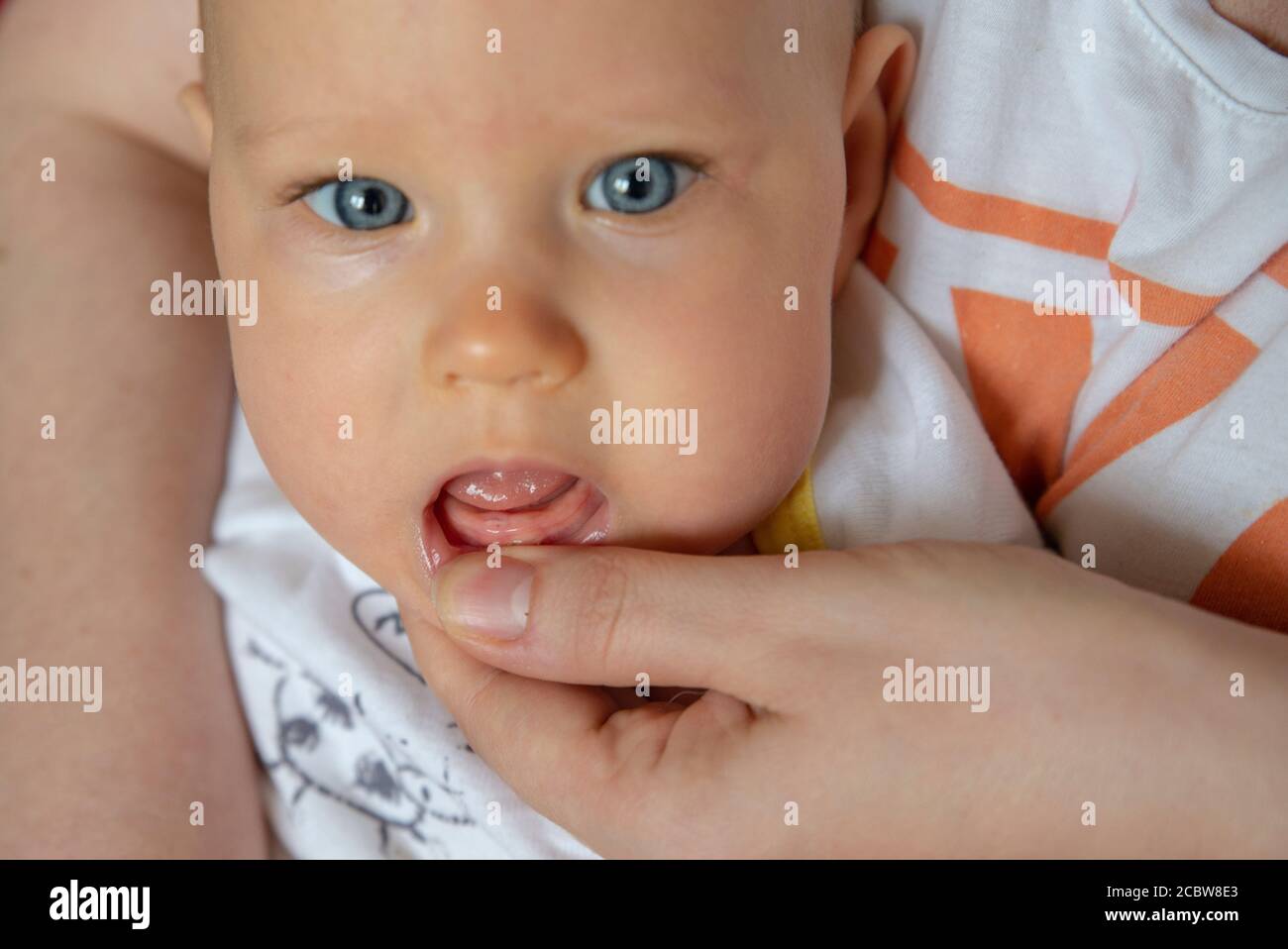 the first tooth of a small child Stock Photo - Alamy