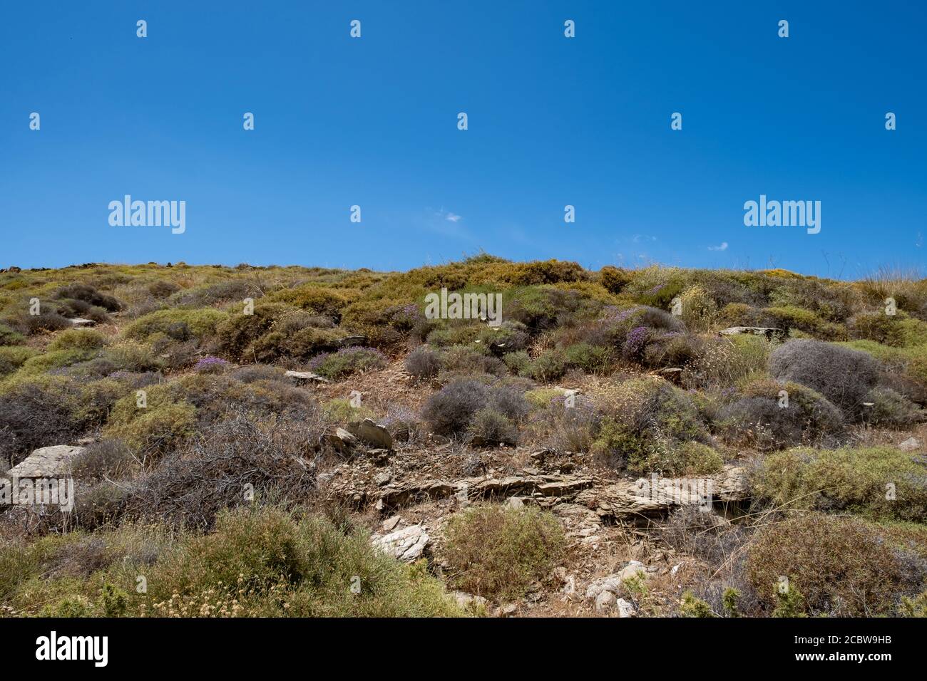 Shrubland, dry, wild nature at countryside of Tzia, Kea island. Hiking ...