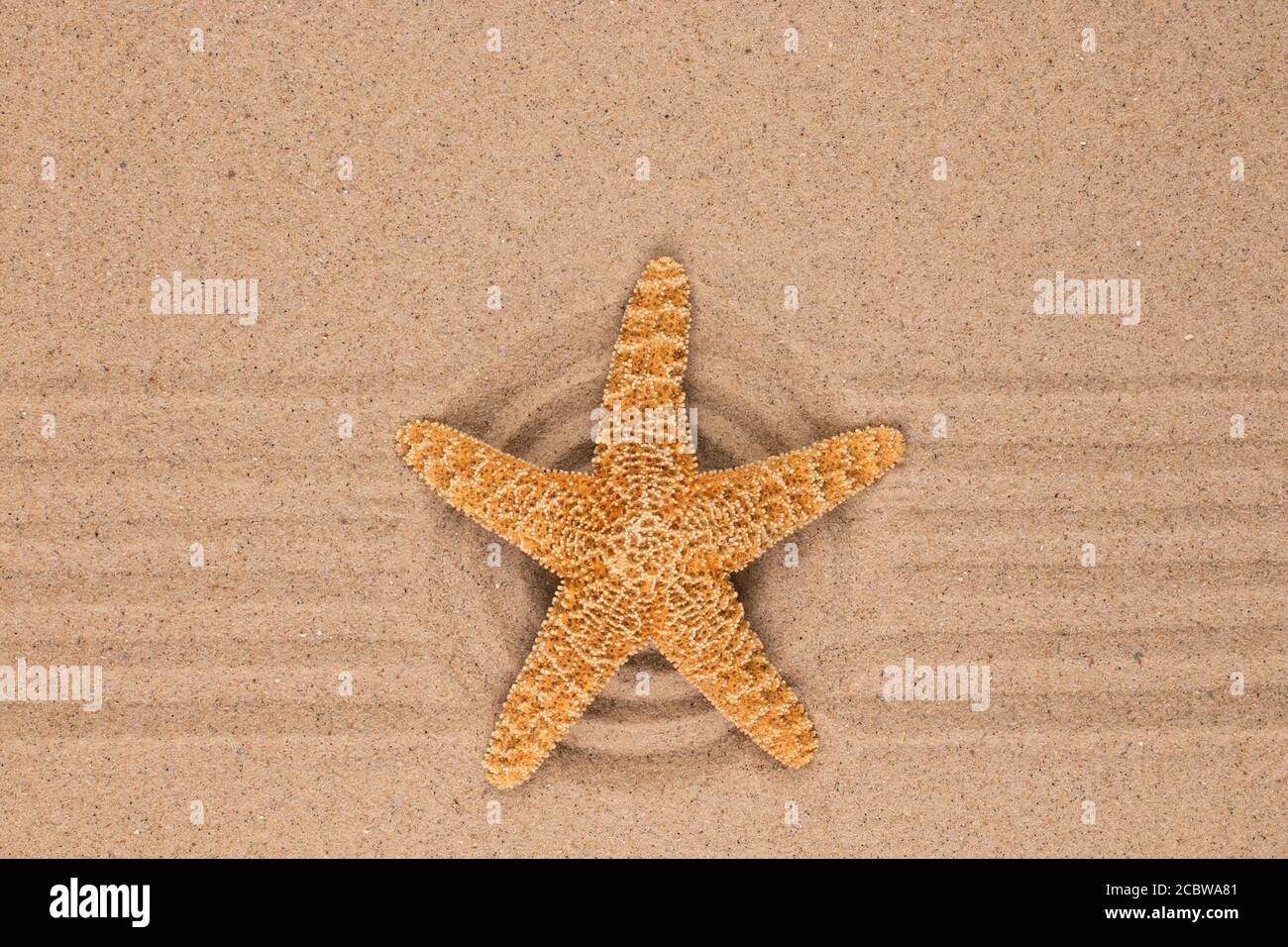 Large yellow star lies in the center of a sandy circle. Top view Stock ...