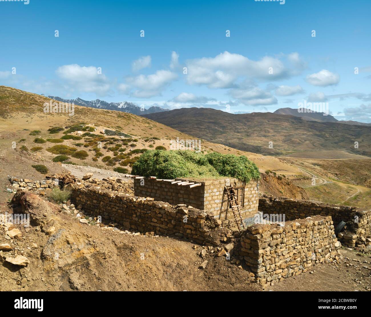 Small new build house with cattle fodder on roof surrounded by dry ...