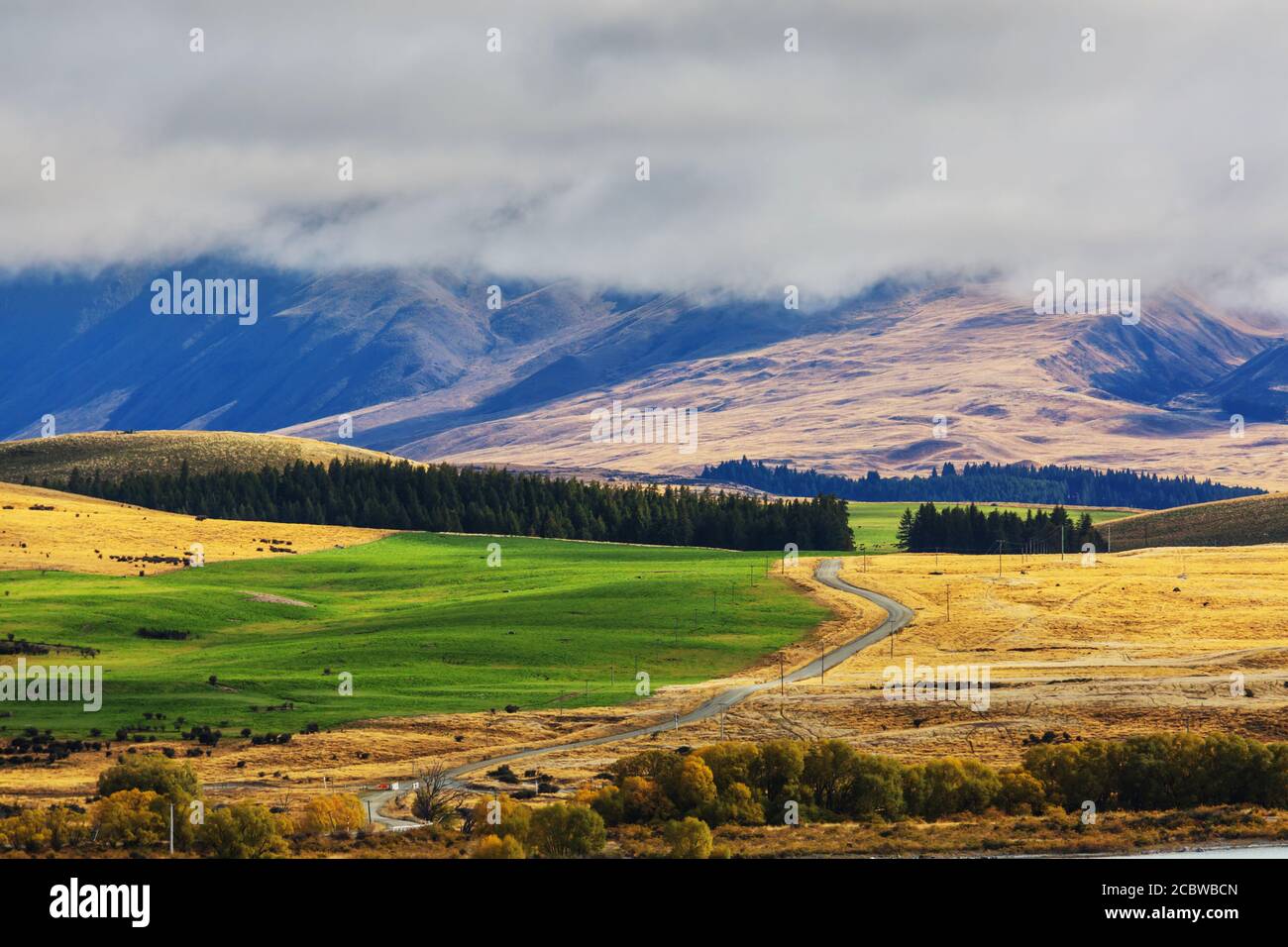 Beautiful rural landscape of the New Zealand at sunrise Stock Photo - Alamy