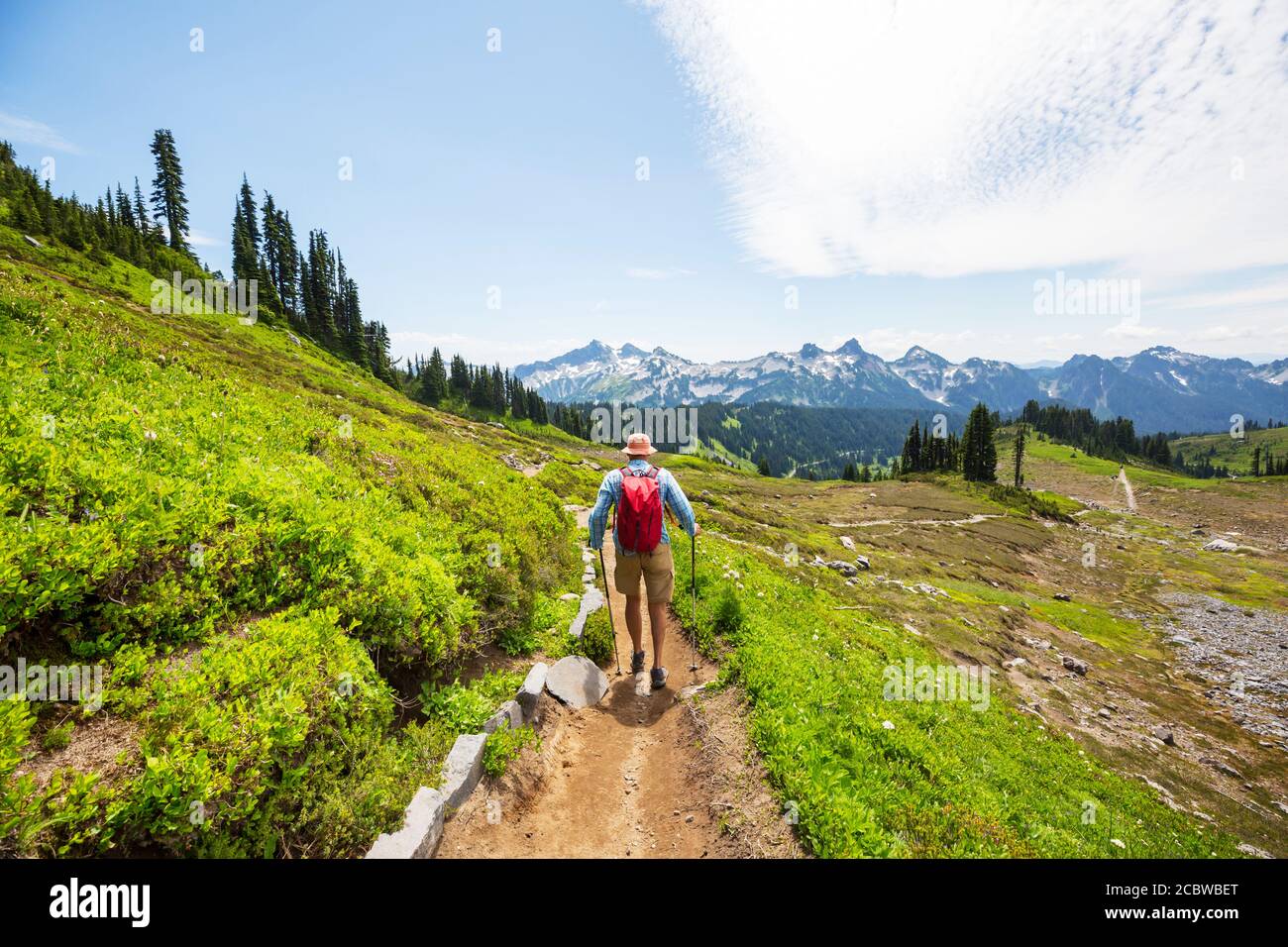 Backpacker in the summer mountains Stock Photo - Alamy
