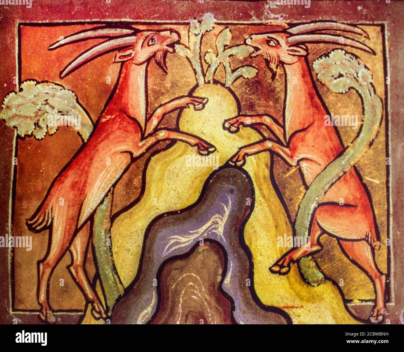 Bestiary Manuscript High Resolution Stock Photography and Images - Alamy