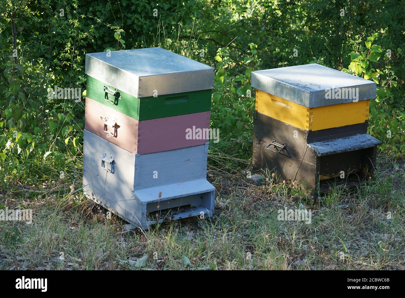 Miele toscano hi-res stock photography and images - Alamy