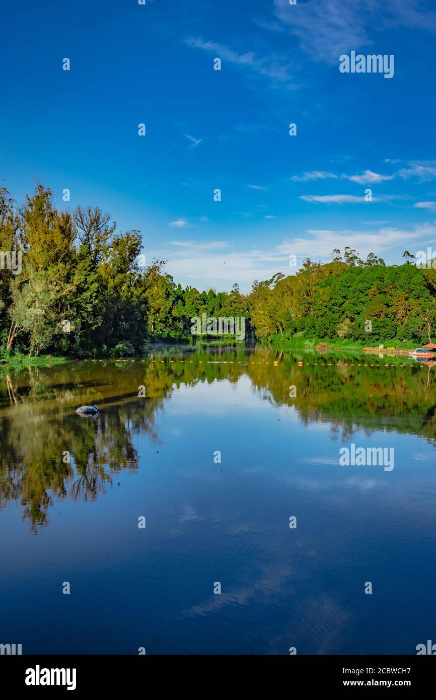 lake pristine with green forest water reflection and bright blue sky at ...