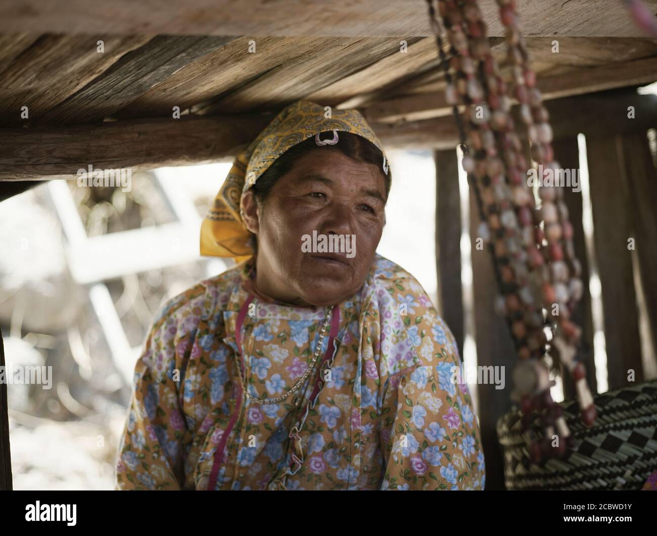 Native american indian woman walk hi-res stock photography and images ...