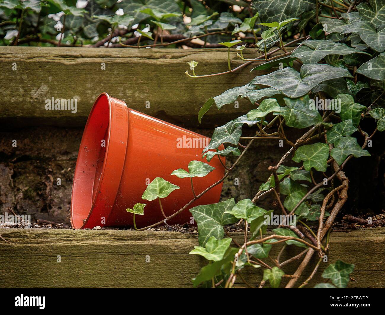 Abandoned plastic flower pots hi-res stock photography and images - Alamy