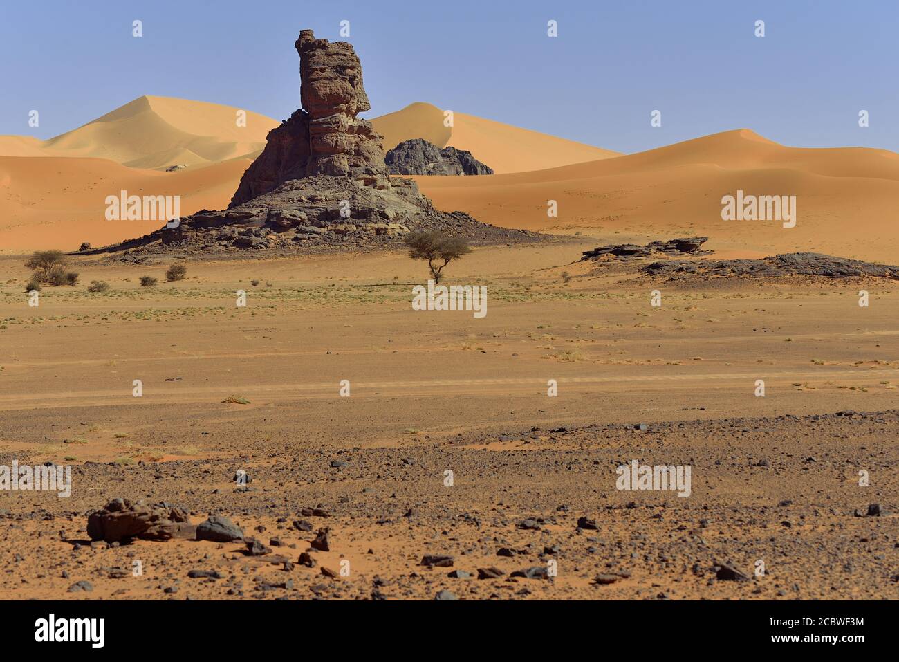 TADRART NATIONAL PARK IN ALGERIA. ROCKS AND RED SAND DUNES IN THE ...