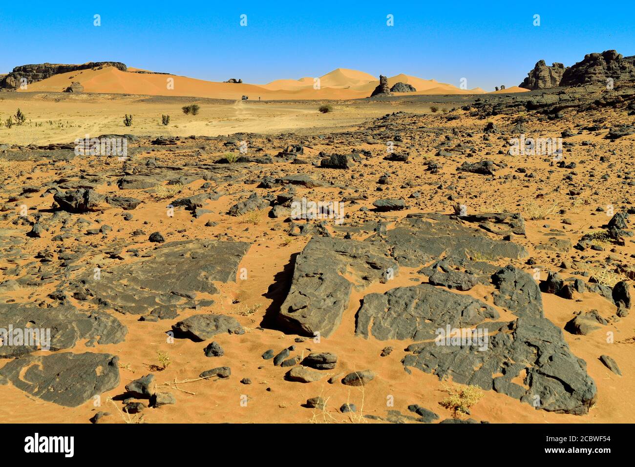 TADRART NATIONAL PARK IN ALGERIA. ROCKS AND RED SAND DUNES IN THE ...