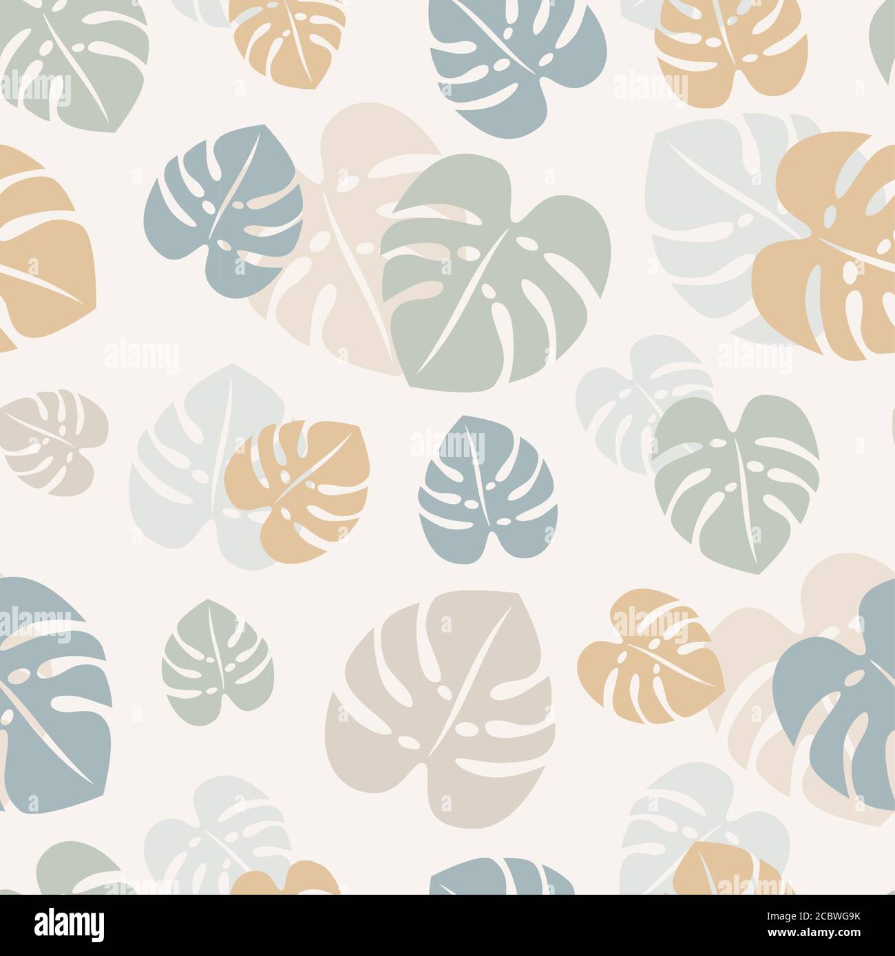 Monstera leaves hi-res stock photography and images - Alamy