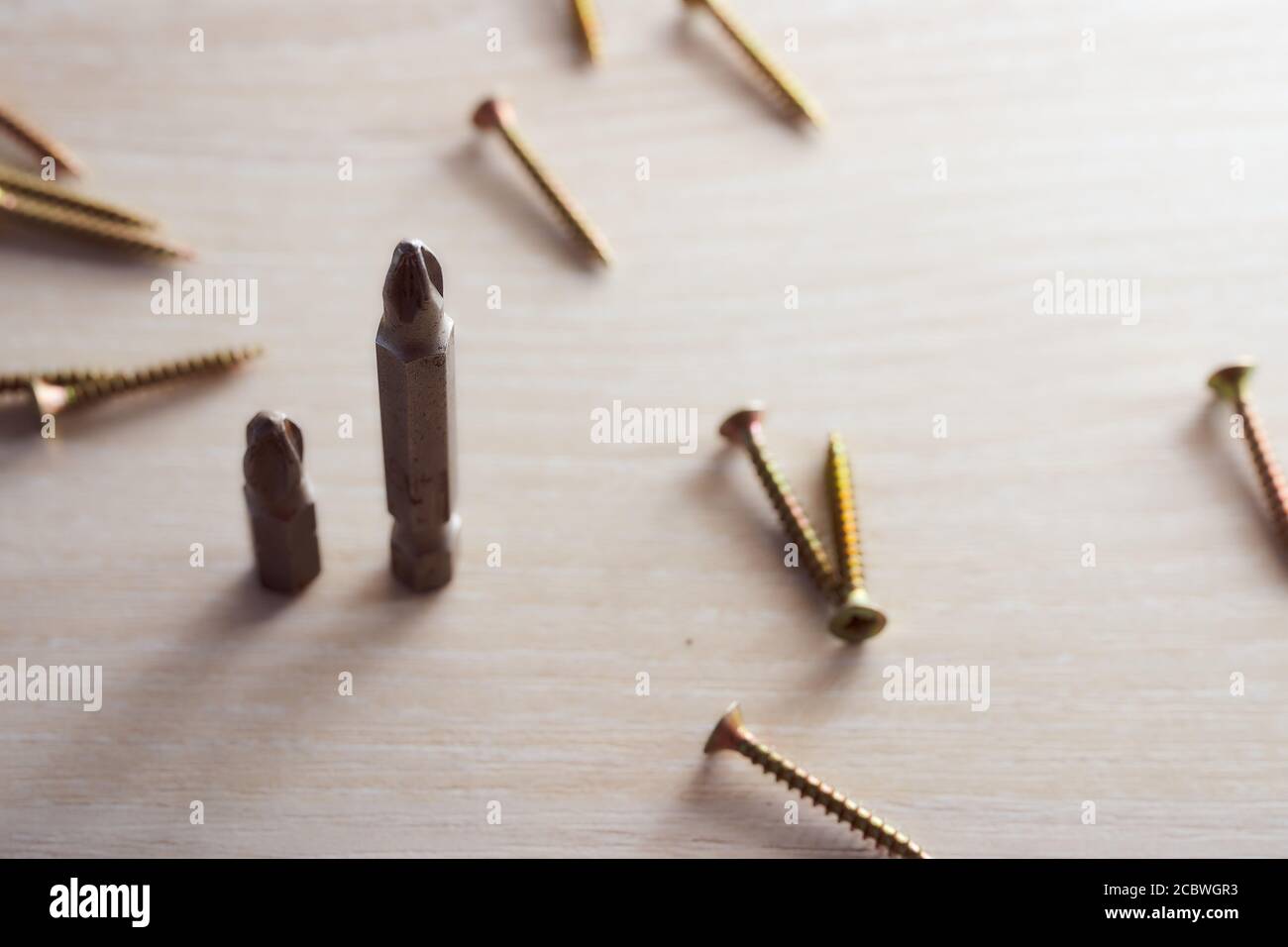 The screws and screwdriver set lie in a white cup against a light ...