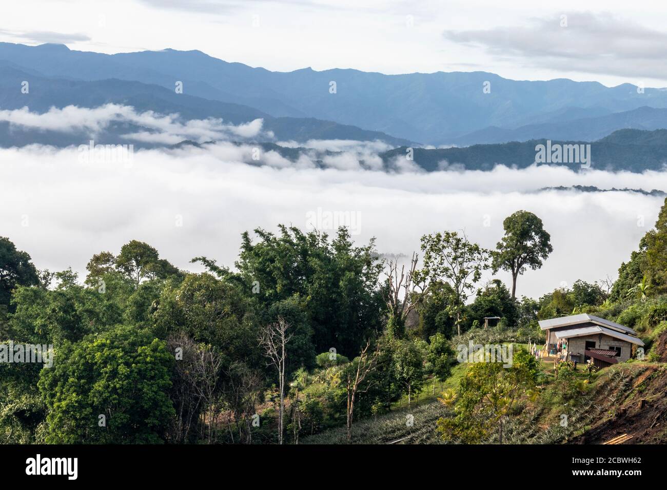 Agricultural land around Telipok Sabah Borneo Malaysia Stock Photo - Alamy