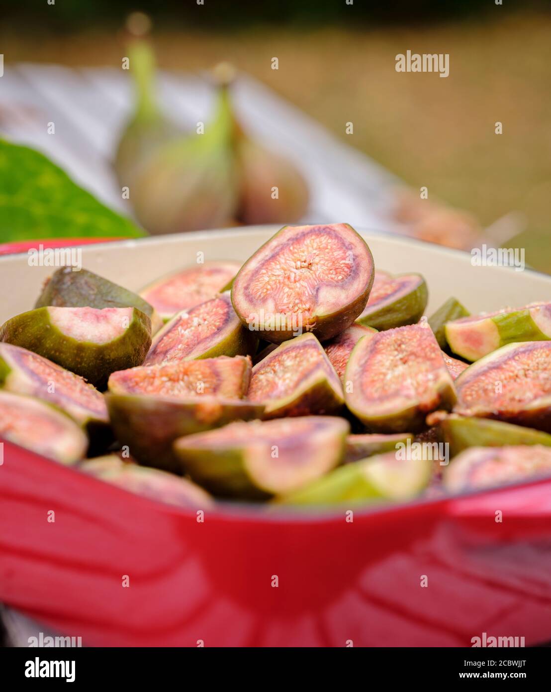 A roasting tray of halved home-grown figs in a country garden in south ...