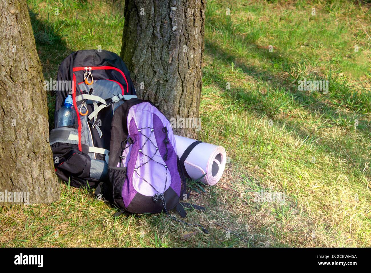 Two backpack in the forest. Nobody Stock Photo - Alamy