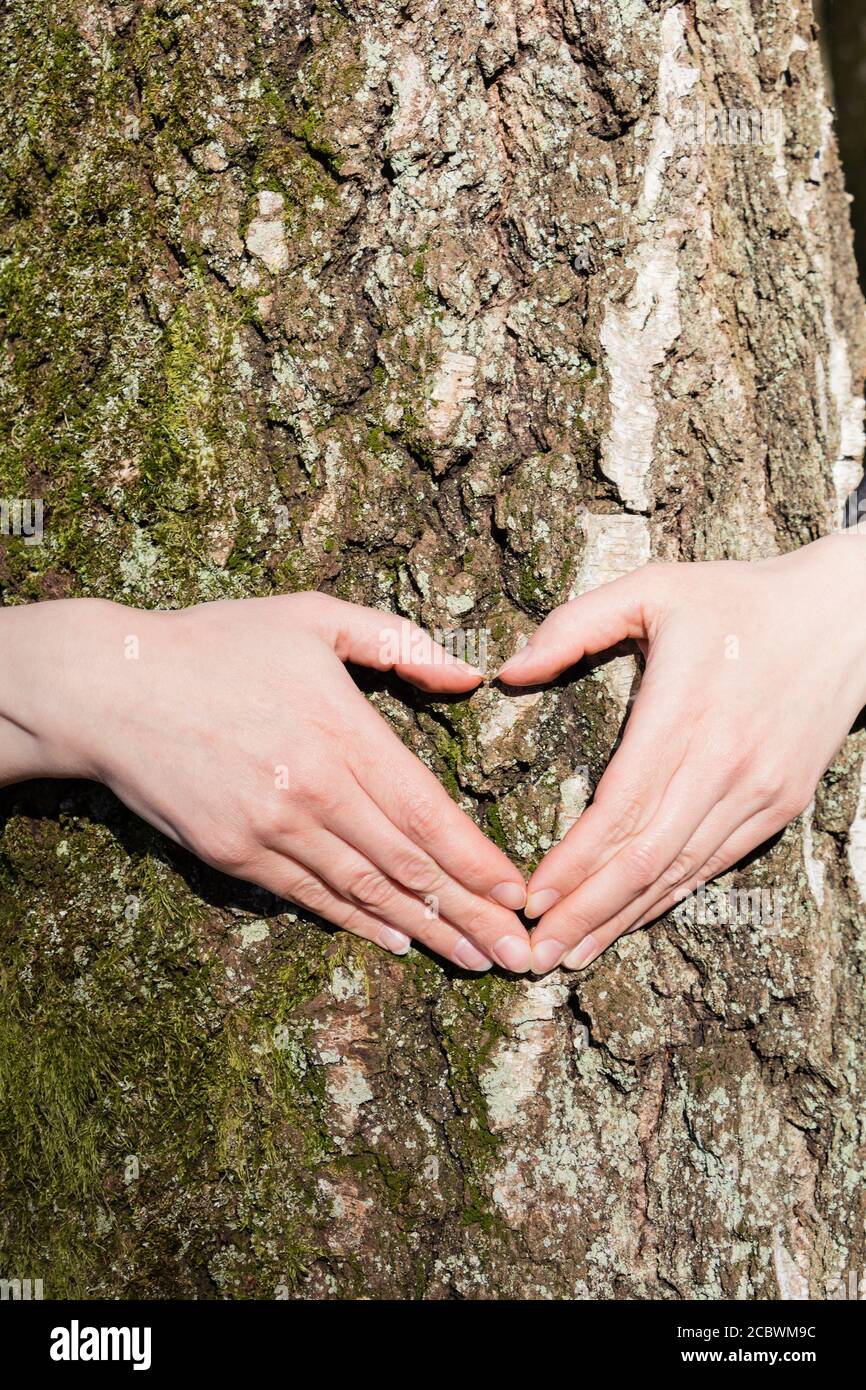 The forest of the human heart hi-res stock photography and images - Alamy