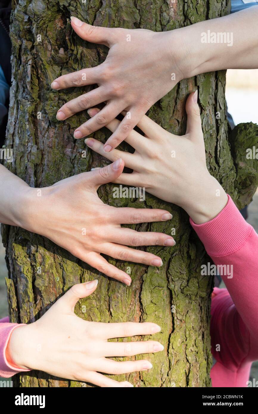 Hands hug tree hi-res stock photography and images - Alamy