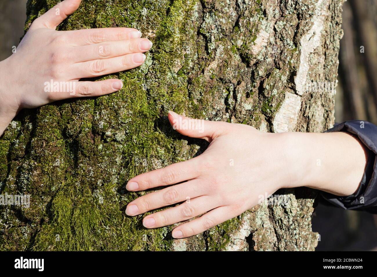 Primal connection hi-res stock photography and images - Alamy