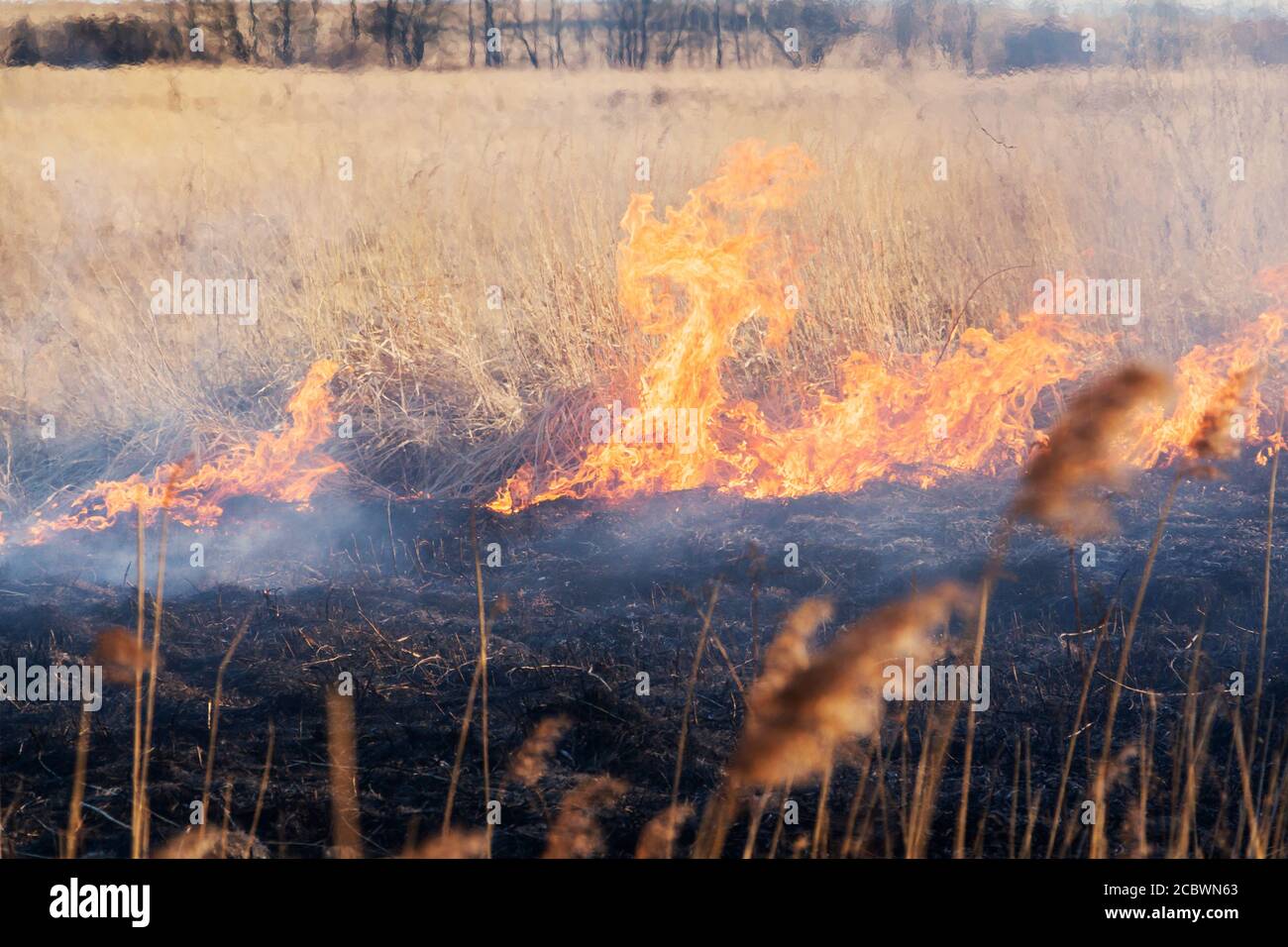 Unquenched fire hi-res stock photography and images - Alamy