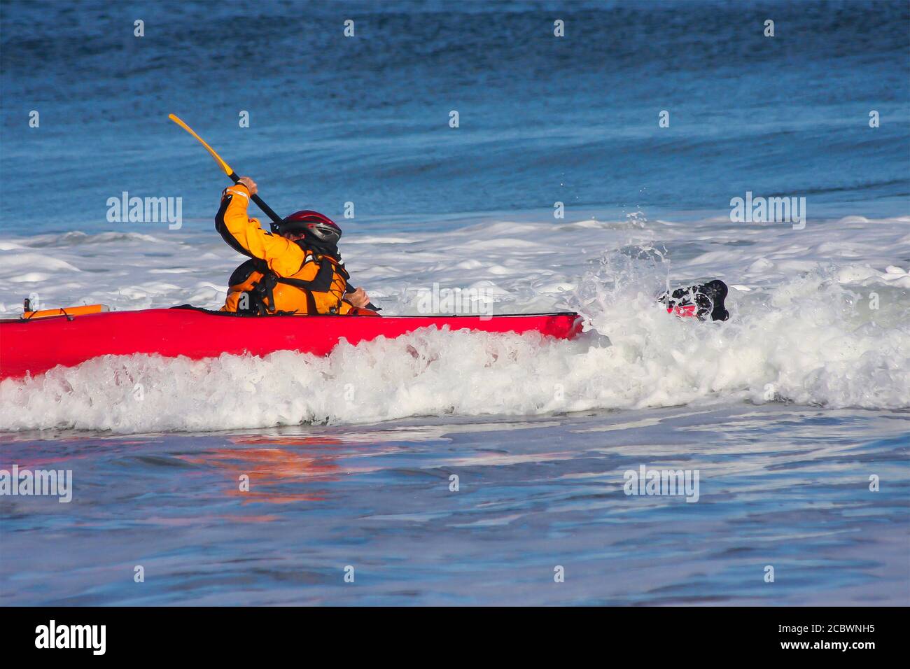 Man fighting the wave on kayak on rough sea in Black Cove, Nova Scotia ...