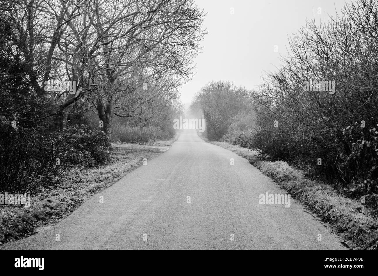 Winter Lane in Sussex Stock Photo - Alamy
