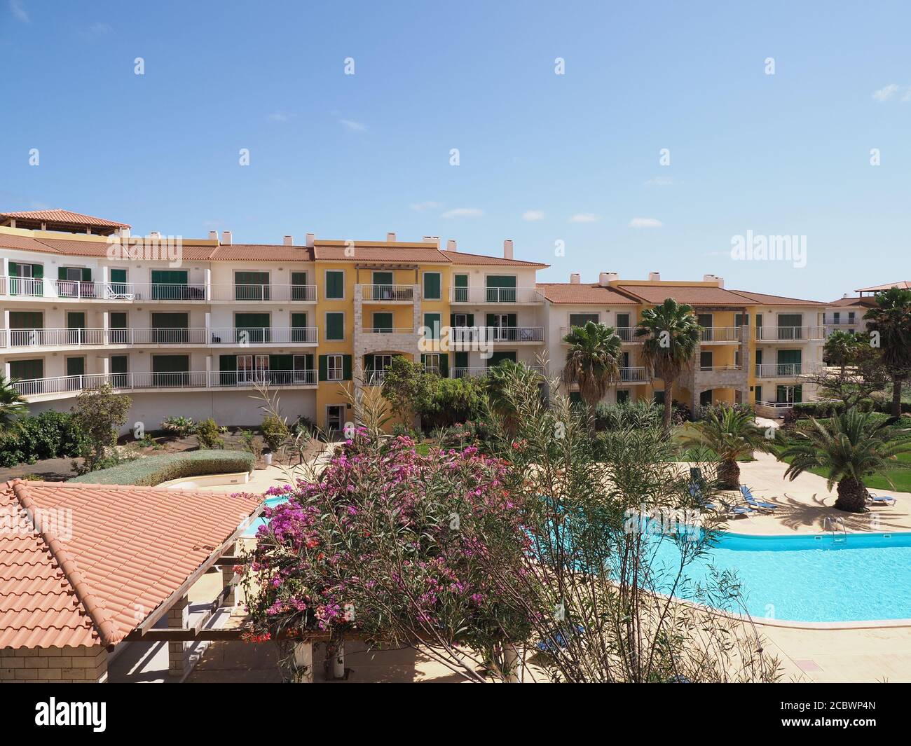Colored complex and exotic trees on Sal island in Cape Verde Stock ...