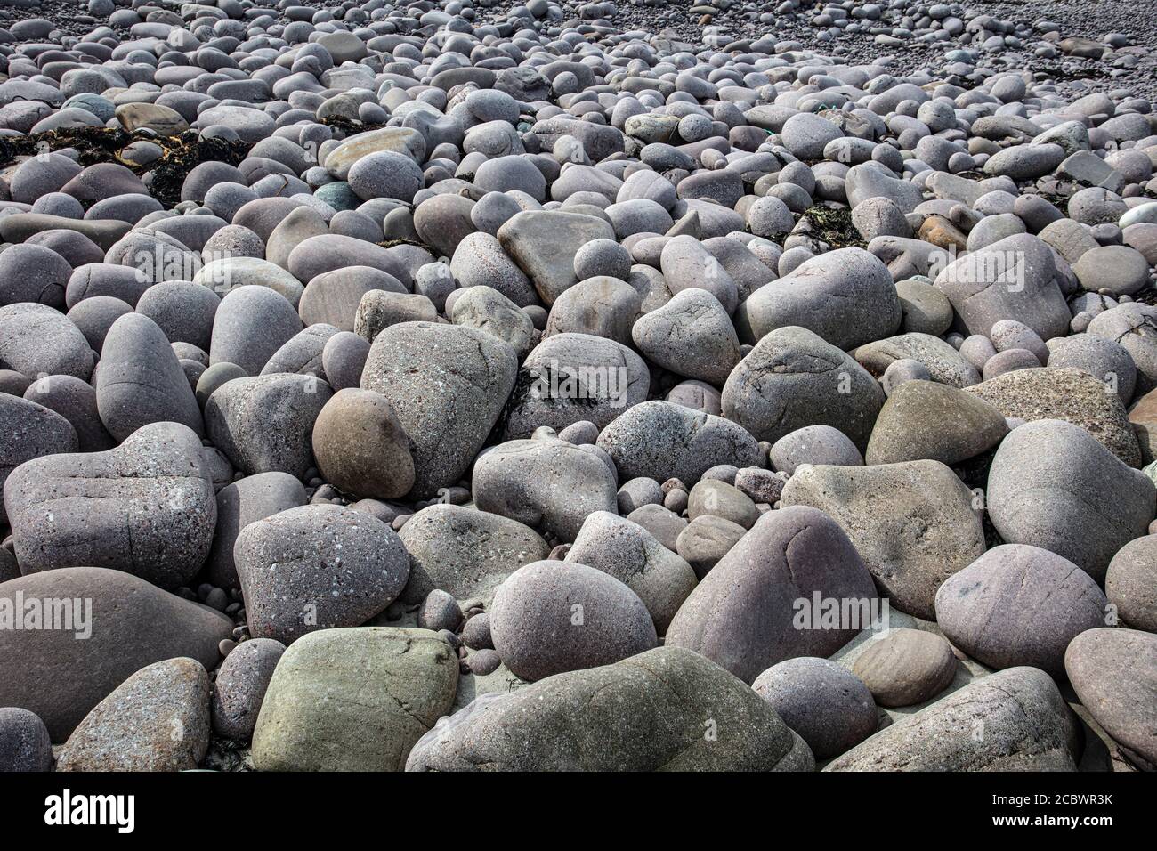 Short coastal walk from lay-by next to bridge south of Loch Garvie (NC ...