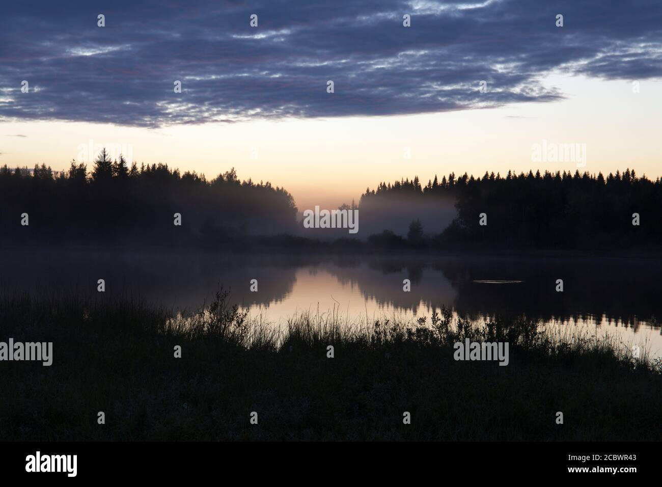 Small lake this side a forest, nightfall. Some fog above the water ...