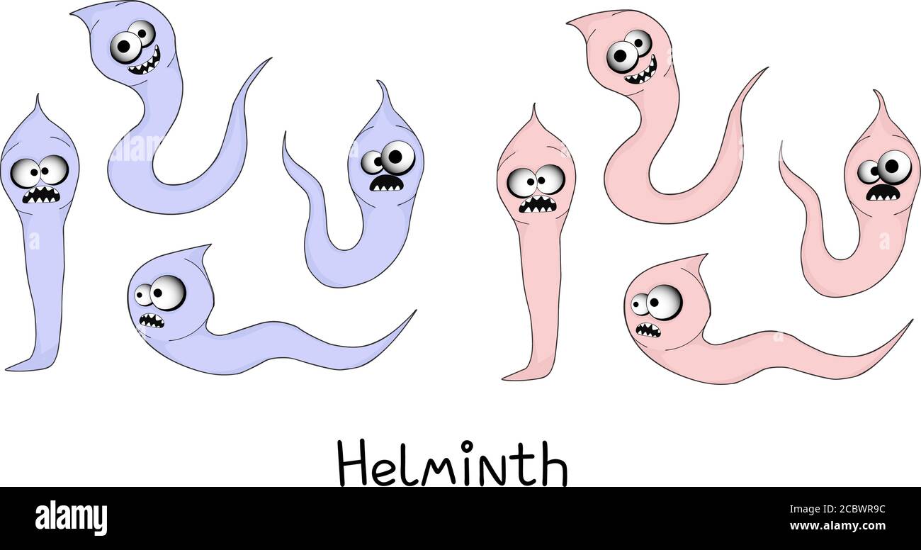 helminths, roundworms. intestinal parasites. warning sign parasitism ...