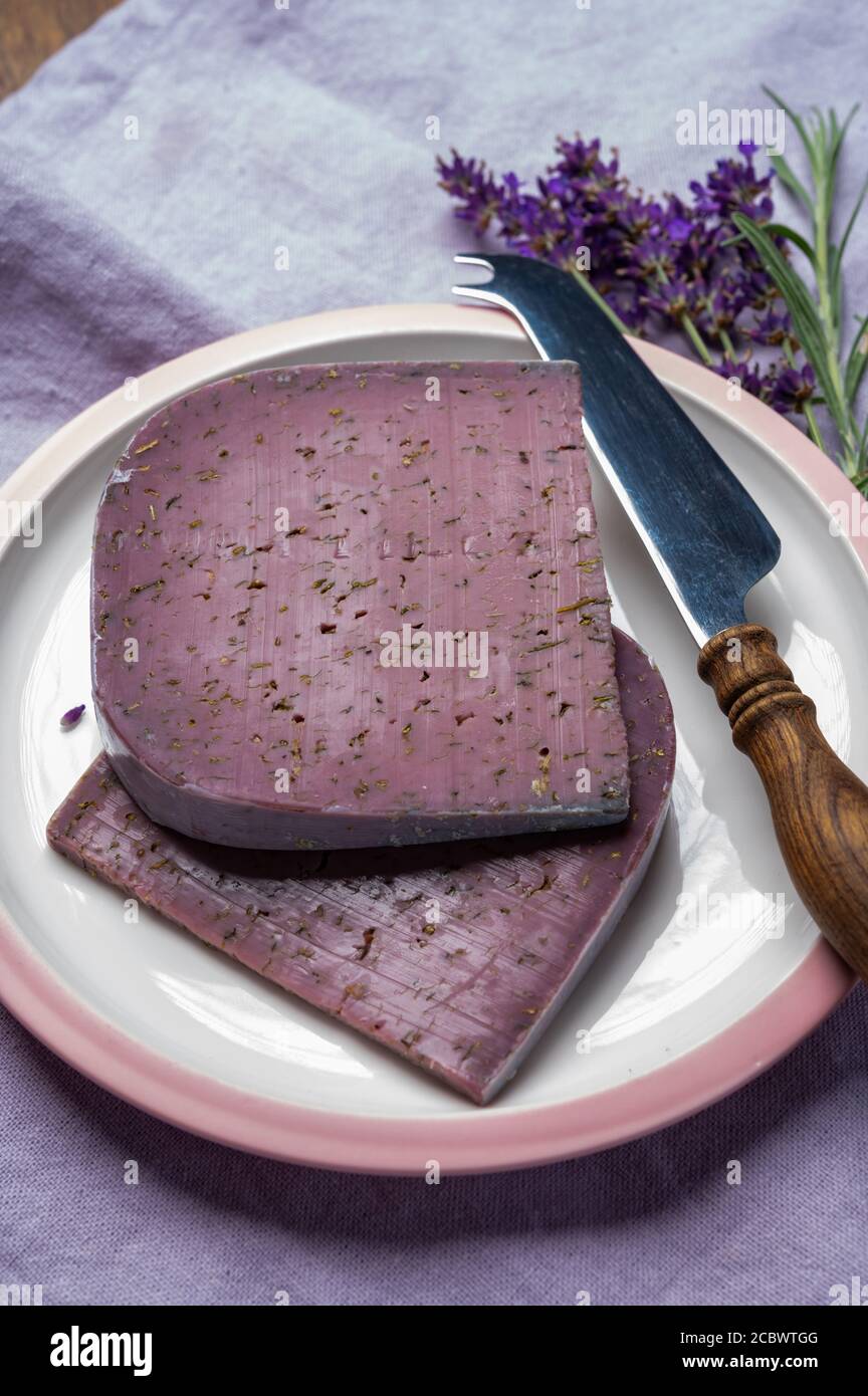 Cheese collection, pieces of violet hard cheese made with aromatic ...