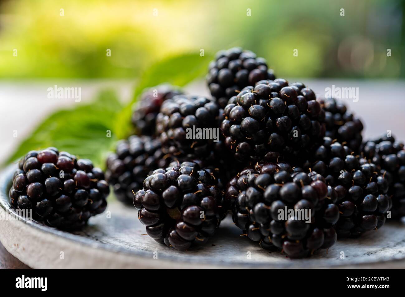 Ripe healthy antioxidant black currant or bramble berries close up ...