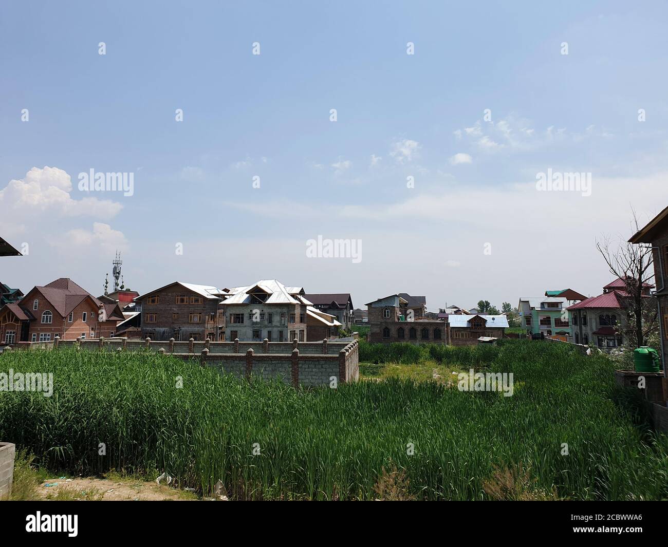 Road through green lands are empty due to coronavirus lockdown. Open ...