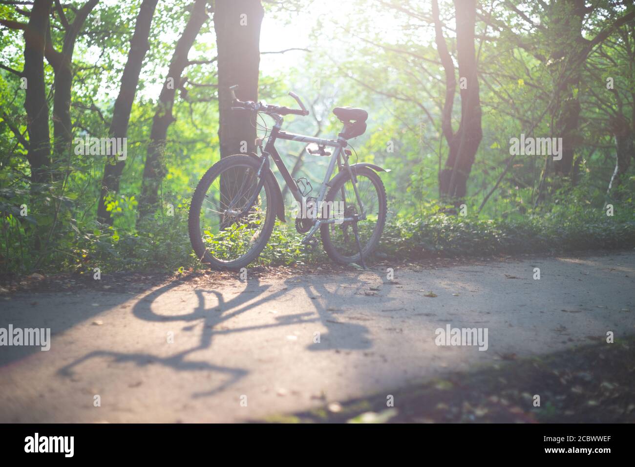 Silver bike at side of a surfaced cycle path in the sun casting shadow ...
