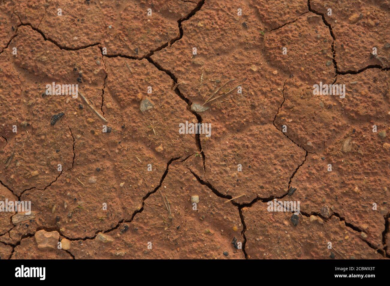 Cracked clay texture in hi-res stock photography and images - Alamy