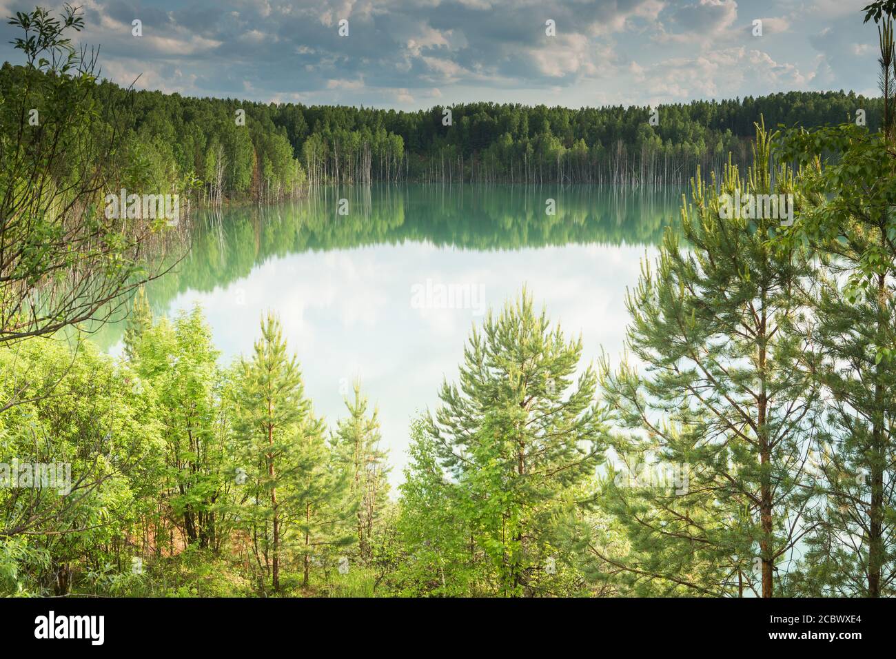 forest lake landscape. View of the blue lake forest Stock Photo - Alamy