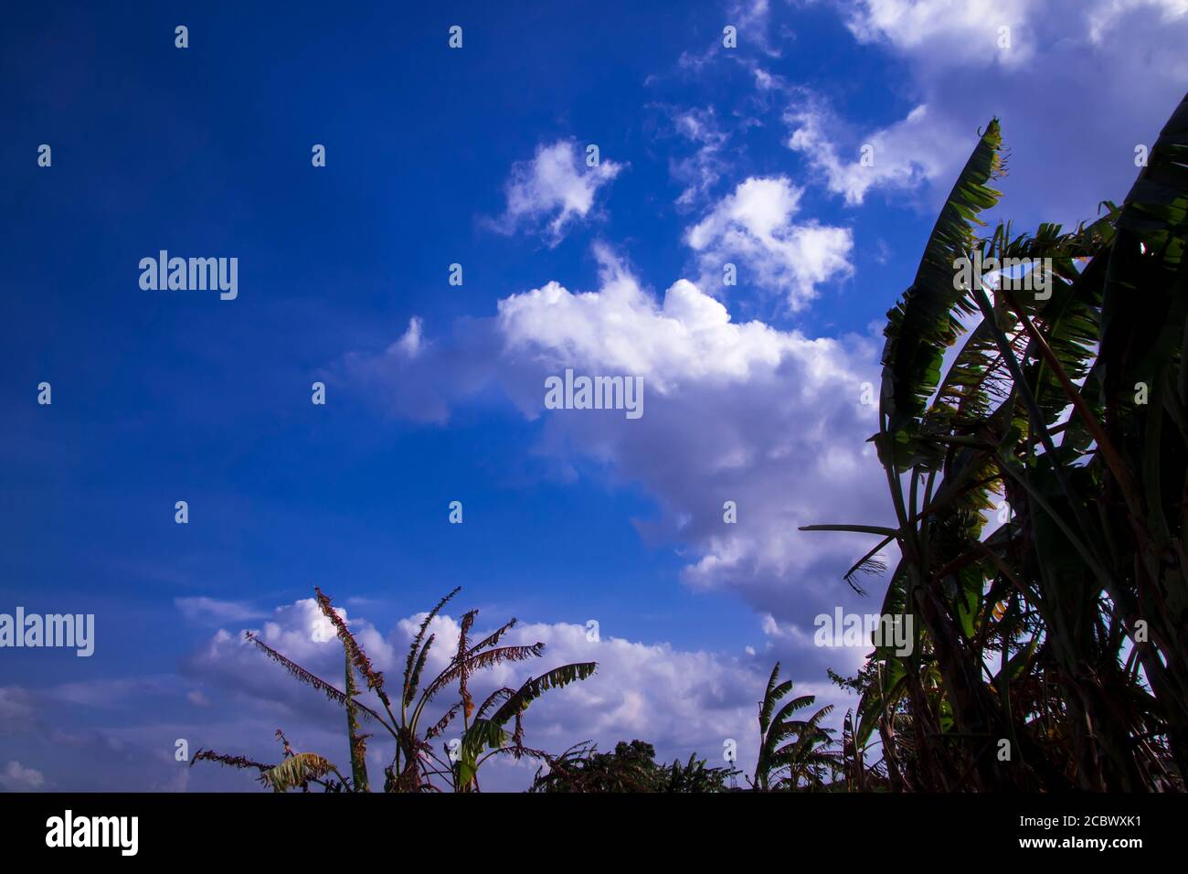 Blue sky background with clouds Stock Photo - Alamy